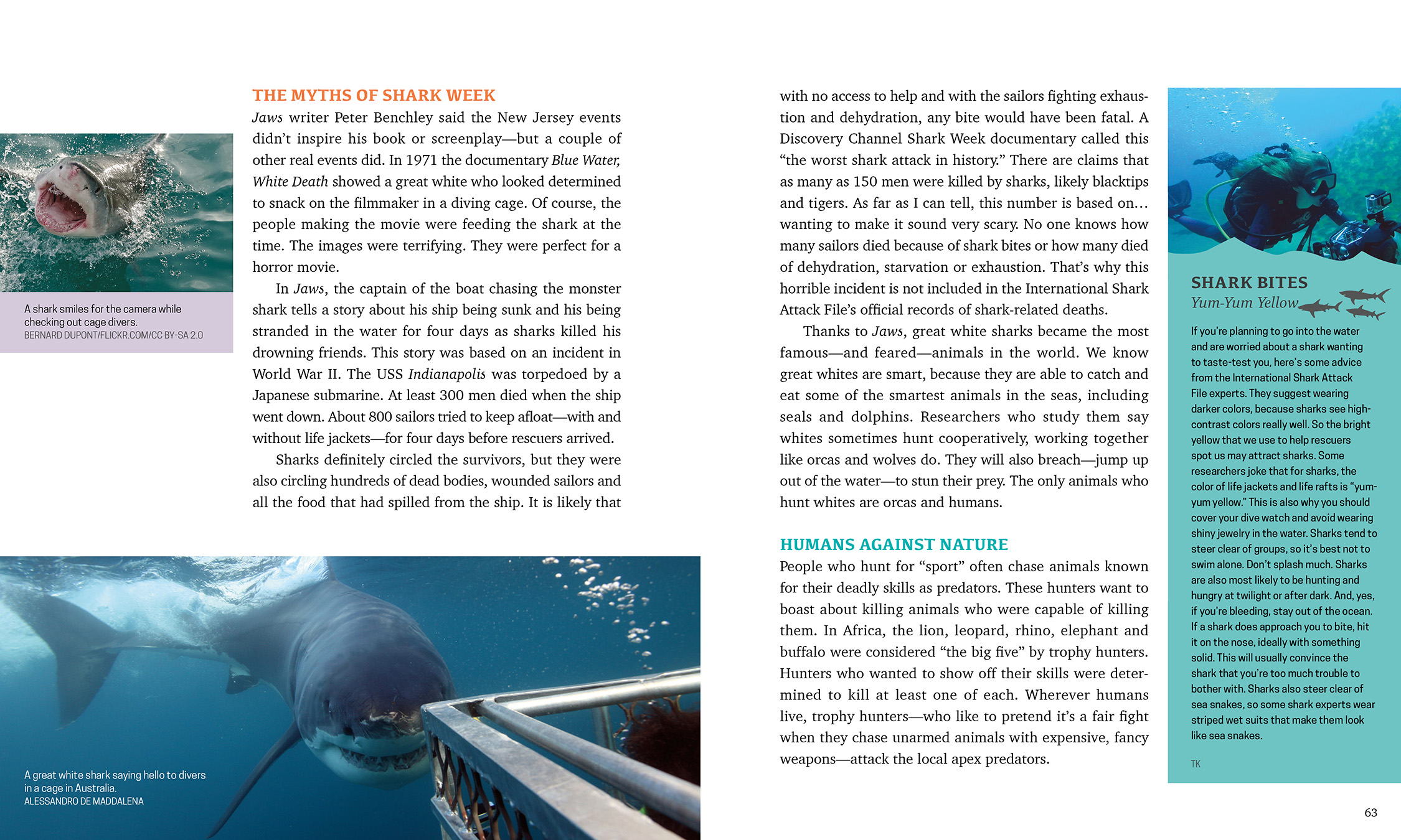 Sharks Forever