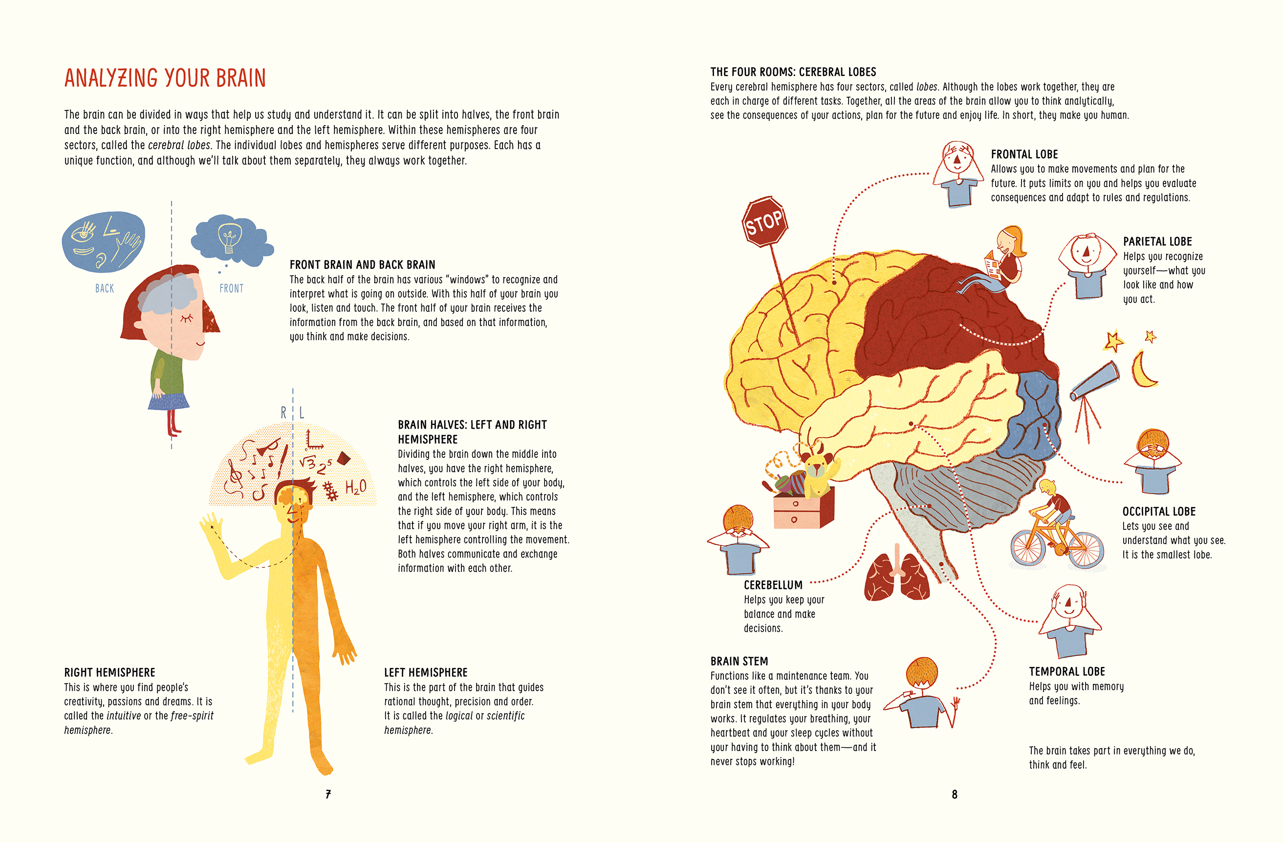 Your Brain Is Amazing