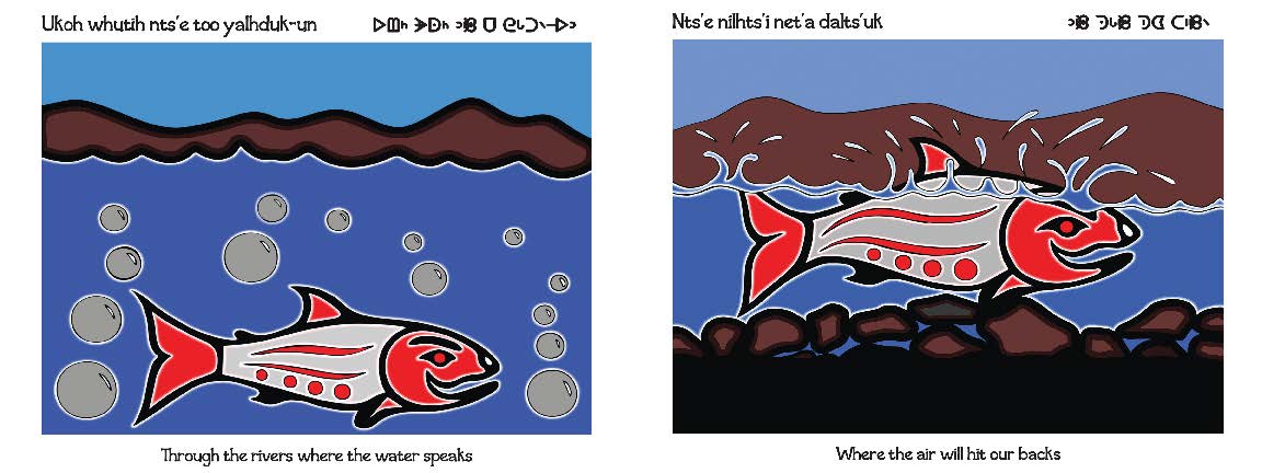The Salmon Run