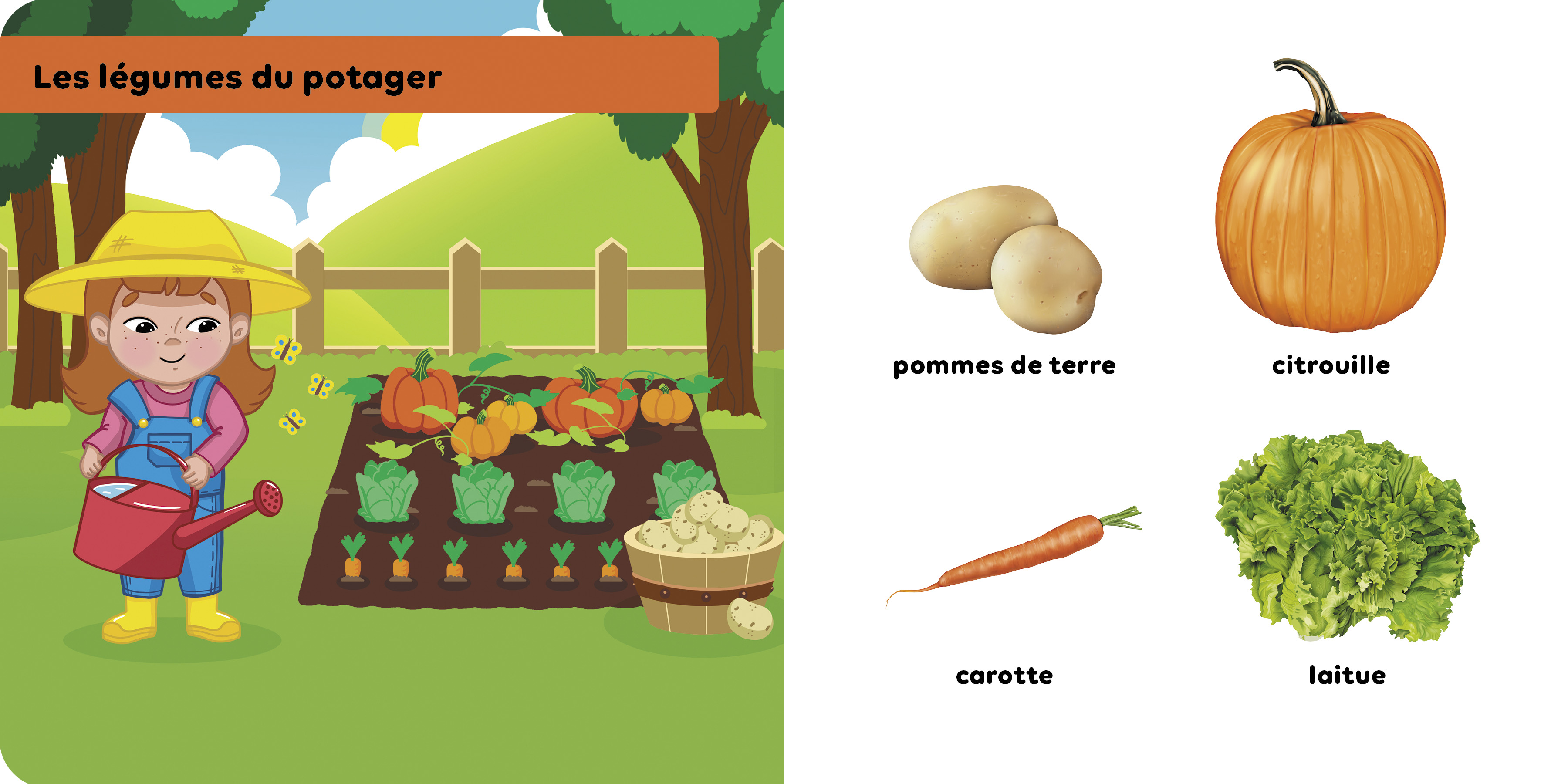 Mon imagier des aliments